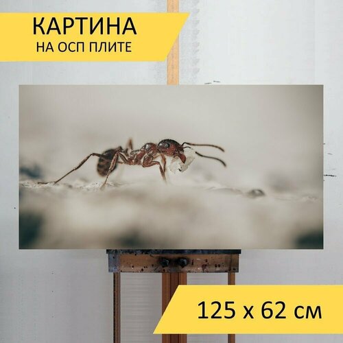 Картина на ОСП 125х62 см. "Муравьи, макрос, насекомые" горизонтальная, для интерьера, с креплениями
