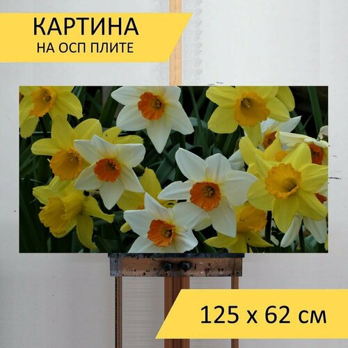 Картина на ОСП 125х62 см. "Нарциссы, цветы, цвести" горизонтальная, для интерьера, с креплениями