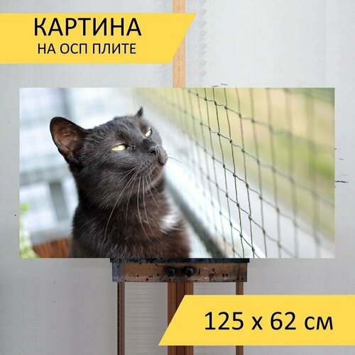 Картина на ОСП 125х62 см. "Кошка, черный кот, обычный кот" горизонтальная, для интерьера, с креплениями