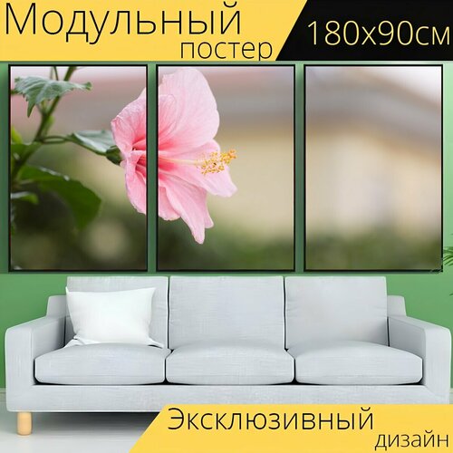Модульный постер "Гибискус, цветок гибискуса, цветок" 180 x 90 см. для интерьера