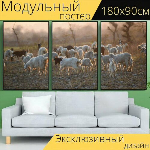 Модульный постер "Овец, козы, животное" 180 x 90 см. для интерьера
