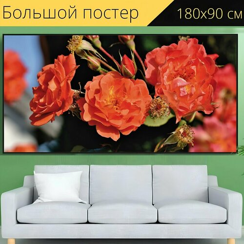 Большой постер "Цветы, розы, лепестки" 180 x 90 см. для интерьера