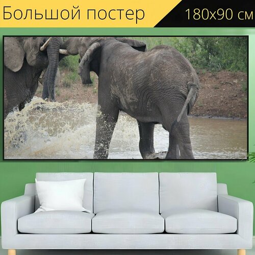 Большой постер "Африканские слоны, брызги, подход" 180 x 90 см. для интерьера