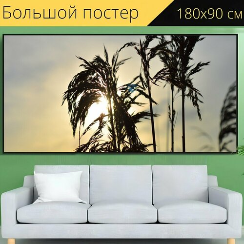 Большой постер "Тростник, травы, солнечный свет" 180 x 90 см. для интерьера