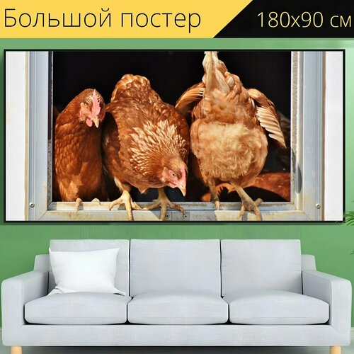 Большой постер "Курица, домашняя птица, оковалок" 180 x 90 см. для интерьера