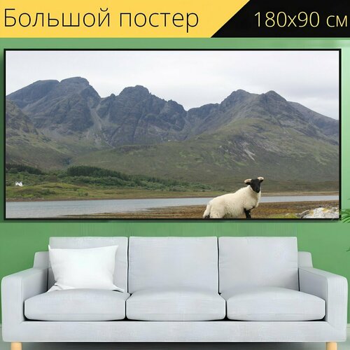 Большой постер "Шотландия, скай, овец" 180 x 90 см. для интерьера