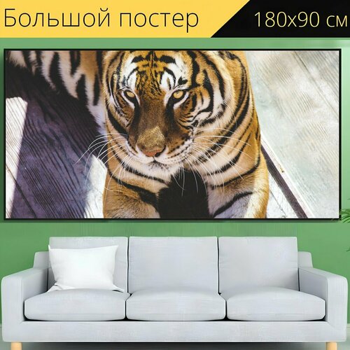 Большой постер "Животное, природа, тигр" 180 x 90 см. для интерьера