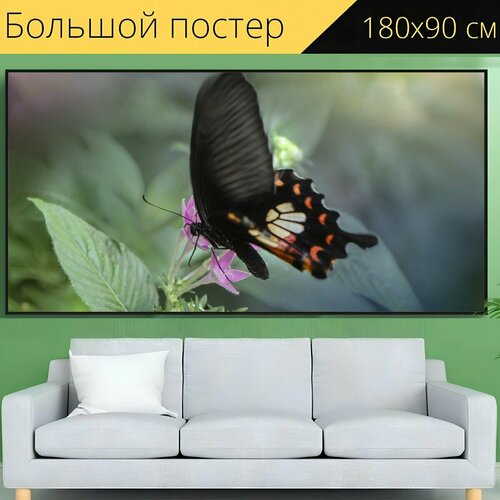Большой постер "Бабочка, черная бабочка, опыление" 180 x 90 см. для интерьера