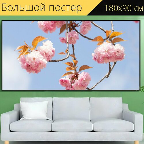 Большой постер "Цветение вишни, розовые цветы, цветы" 180 x 90 см. для интерьера