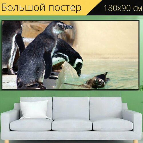 Большой постер "Пингвин, птица, милый" 180 x 90 см. для интерьера