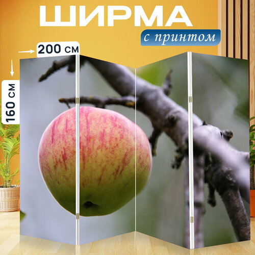 Ширма перегородка с принтом "Яблоко, фрукты, филиал" на холсте - 200x160 см. для зонирования, раскладная