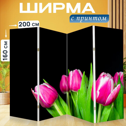 Ширма перегородка с принтом "Тюльпаны, букет, цветы" на холсте - 200x160 см. для зонирования, раскладная