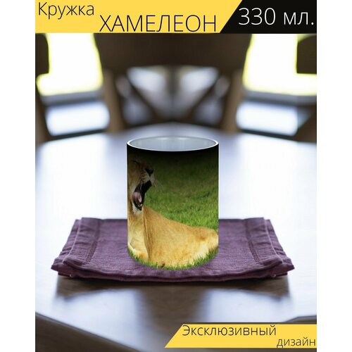 Кружка хамелеон с принтом "Львица, король джунглей, лев" 330 мл.