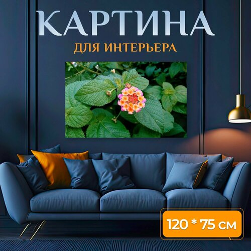 Картина на холсте "Дикий, цветок, красочный" на подрамнике 120х75 см. для интерьера