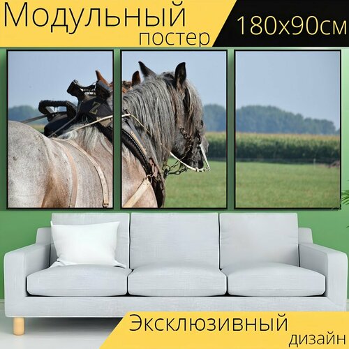 Модульный постер "Лошадь, пахать, фермер" 180 x 90 см. для интерьера