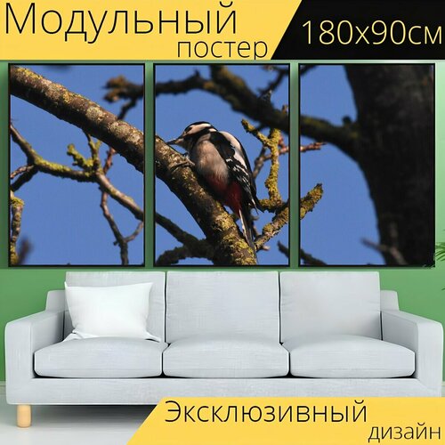 Модульный постер "Большой пятнистый дятел, птица, дерево" 180 x 90 см. для интерьера