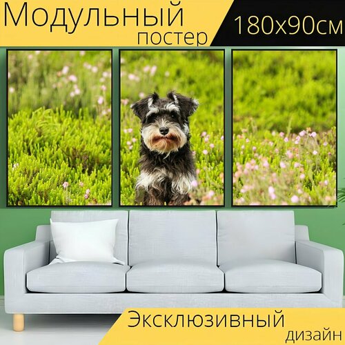 Модульный постер "Собака, вереск, трава" 180 x 90 см. для интерьера