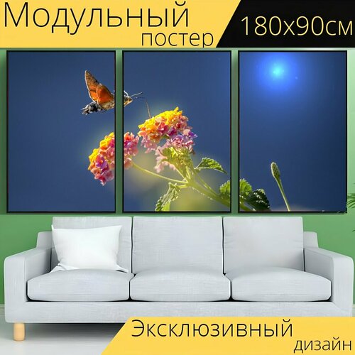 Модульный постер "Колибри бражник, насекомое, цветы" 180 x 90 см. для интерьера