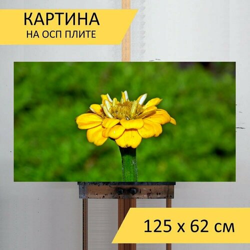 Картина на ОСП 125х62 см. "Цинния, цветок, желтый" горизонтальная, для интерьера, с креплениями