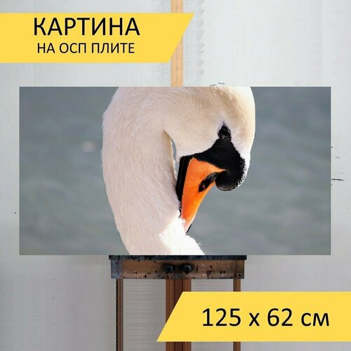 Картина на ОСП 125х62 см. "Белый лебедь, птица, уборка" горизонтальная, для интерьера, с креплениями