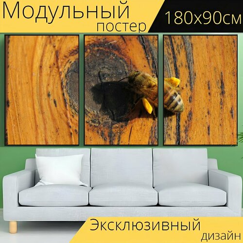 Модульный постер "Пчела, цветочная пыльца, насекомое" 180 x 90 см. для интерьера