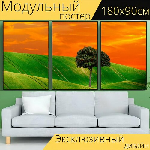 Модульный постер "Апельсиновое дерево, дерево, природа" 180 x 90 см. для интерьера