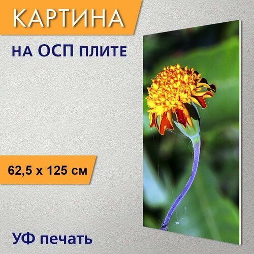 Вертикальная картина на ОСП "Ноготки, цветок, завод" 62x125 см. для интерьериа