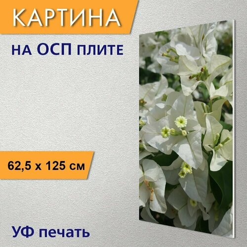 Вертикальная картина на ОСП "Белый, чистый, цветок" 62x125 см. для интерьериа
