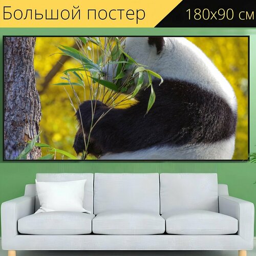 Большой постер "Панда, нести, млекопитающее" 180 x 90 см. для интерьера