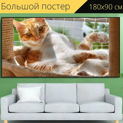 Большой постер "Кот, похмелье, кошачья сетка" 180 x 90 см. для интерьера