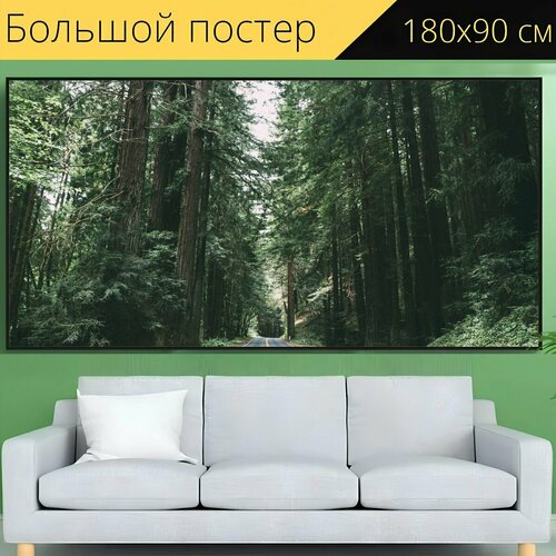 Большой постер "Дорога, деревья, лесные" 180 x 90 см. для интерьера