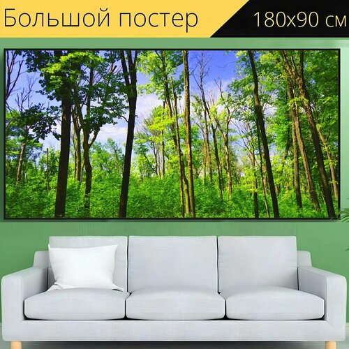 Большой постер "Деревья, лес, подлесок" 180 x 90 см. для интерьера