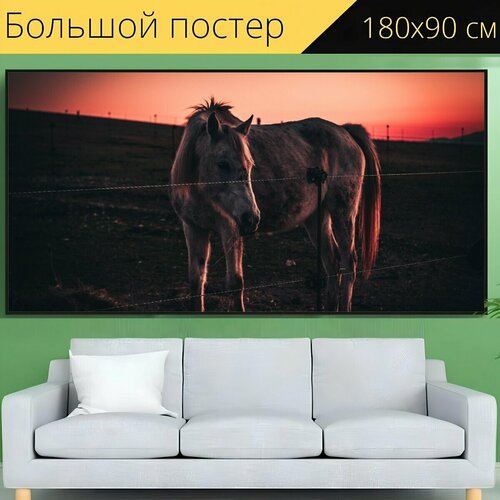 Большой постер "Лошадь, животное, природа" 180 x 90 см. для интерьера