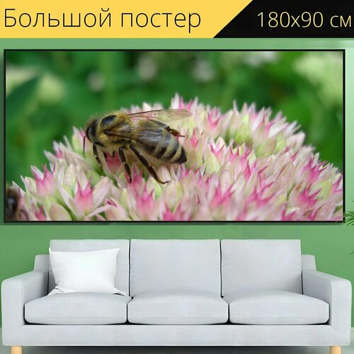 Большой постер "Пчела, цветы, опылять" 180 x 90 см. для интерьера