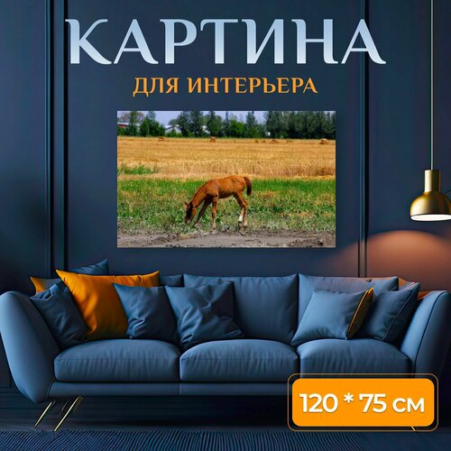 Картина на холсте "Лошадь, поля, коричневый" на подрамнике 120х75 см. для интерьера