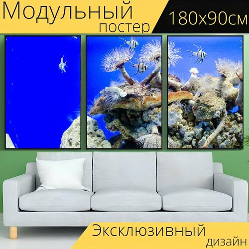 Модульный постер "Под водой, коралловый, море" 180 x 90 см. для интерьера