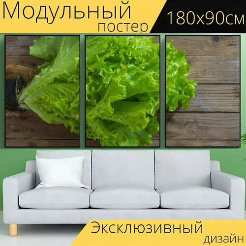Модульный постер "Латук, овощ, салат" 180 x 90 см. для интерьера