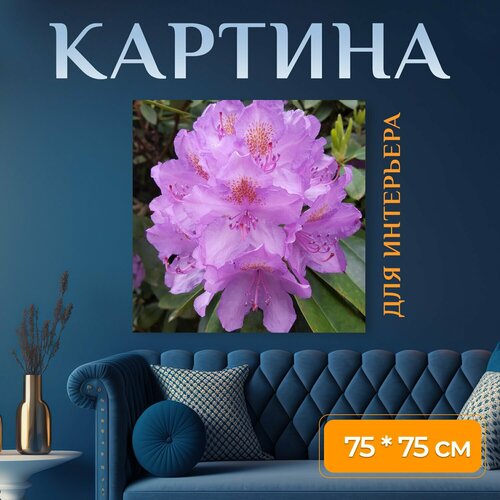Картина на холсте "Цветок, летом, фиолетовый" на подрамнике 75х75 см. для интерьера