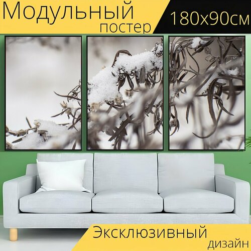 Модульный постер "Снег, зима, растения" 180 x 90 см. для интерьера