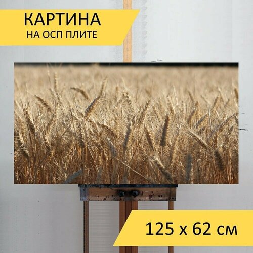 Картина на ОСП 125х62 см. "Природа, пшеница, за пределами" горизонтальная, для интерьера, с креплениями