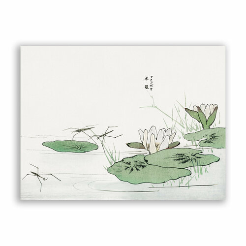 Картина на холсте, репродукция / Моримото Токо - Водомерки на пруду / Размер 30 x 40 см