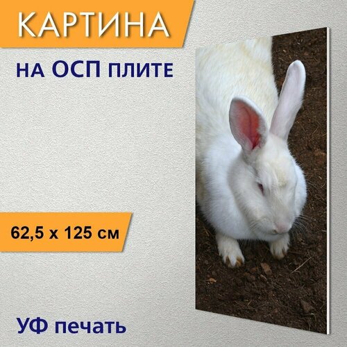 Вертикальная картина на ОСП "Кролик, милый, домашний питомец" 62x125 см. для интерьериа