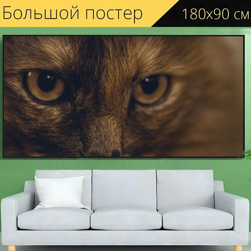 Большой постер "Кошки, животные, кошка" 180 x 90 см. для интерьера
