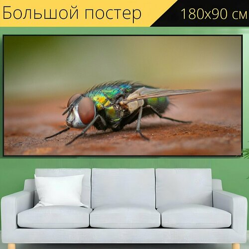 Большой постер "Летать, насекомое, жук" 180 x 90 см. для интерьера