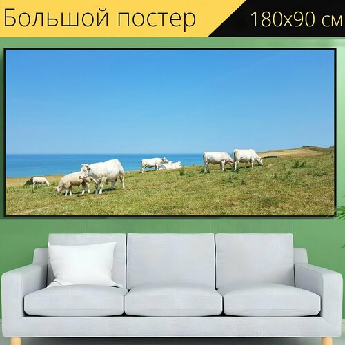 Большой постер "Коровы, бычий, животные" 180 x 90 см. для интерьера