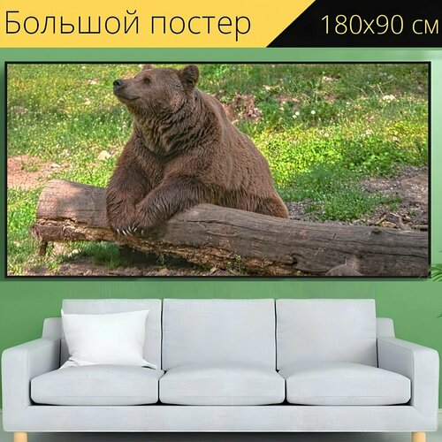 Большой постер "Медведь, животное, природа" 180 x 90 см. для интерьера