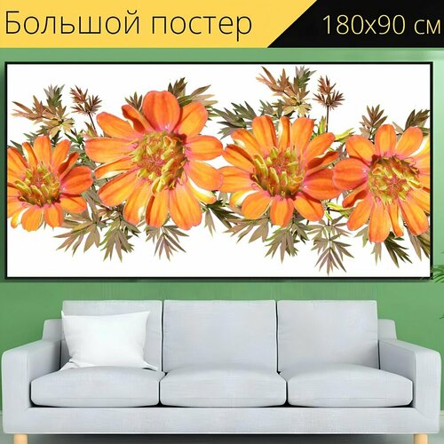 Большой постер "Природа, ромашки, цветы" 180 x 90 см. для интерьера