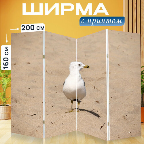Ширма перегородка с принтом "Птица, чайка, песок" на холсте - 200x160 см. для зонирования, раскладная