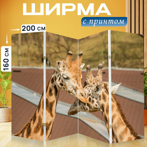 Ширма перегородка с принтом "Жирафы, мало, портрет" на холсте - 200x160 см. для зонирования, раскладная