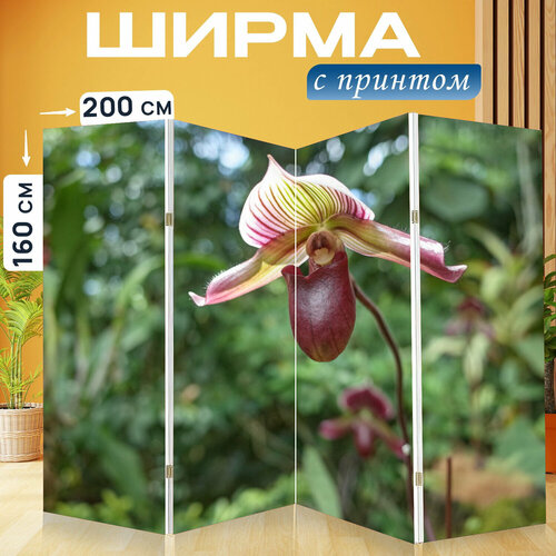 Ширма перегородка с принтом "Орхидея, цветок, фиолетовый" на холсте - 200x160 см. для зонирования, раскладная